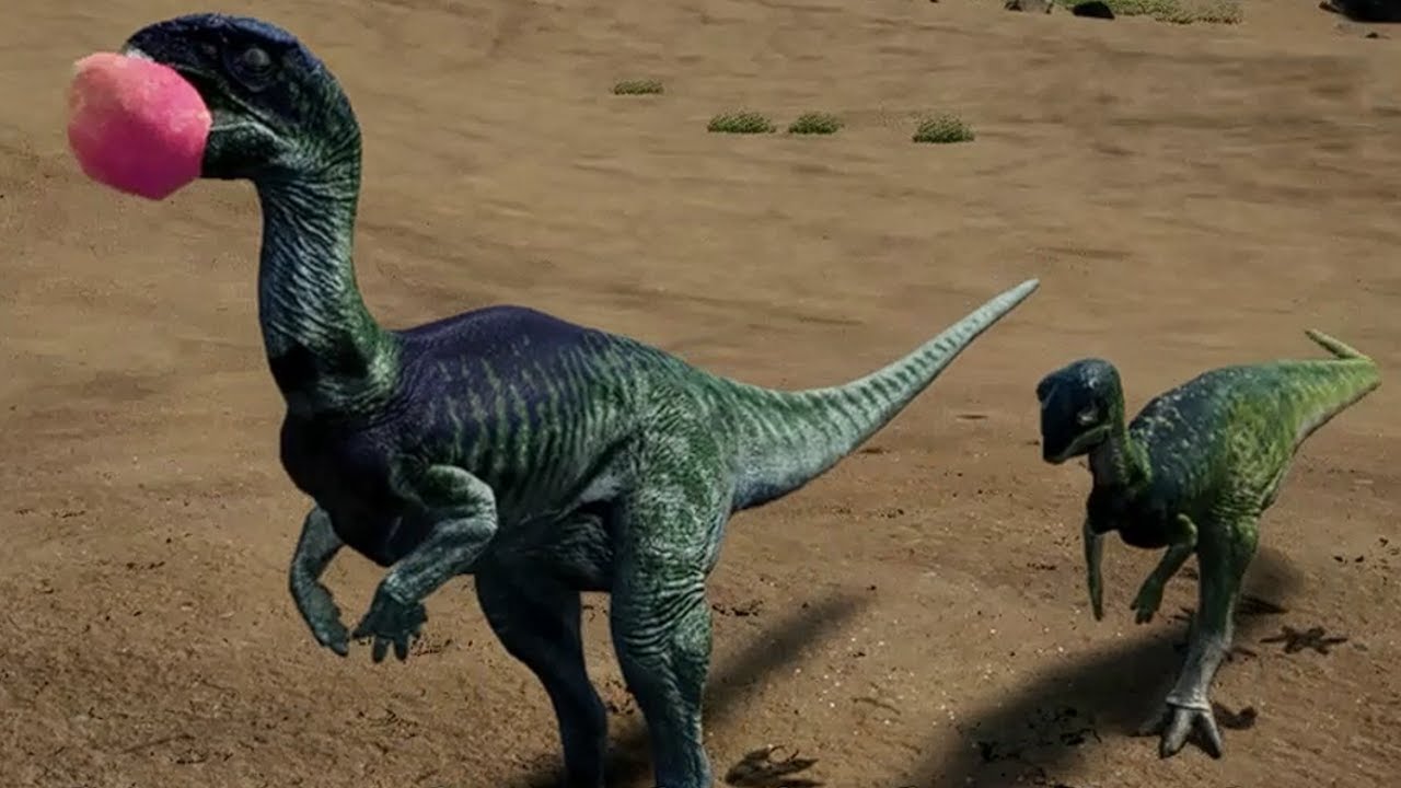 The life of Reed - [Isla Antigua, Full Realism] - YouTube