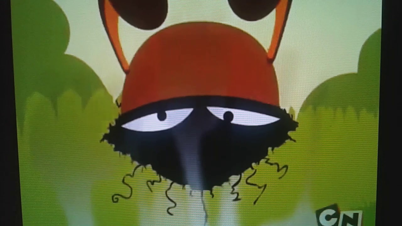 Calling cat 22 starts in 5 4 3 2 1 - YouTube