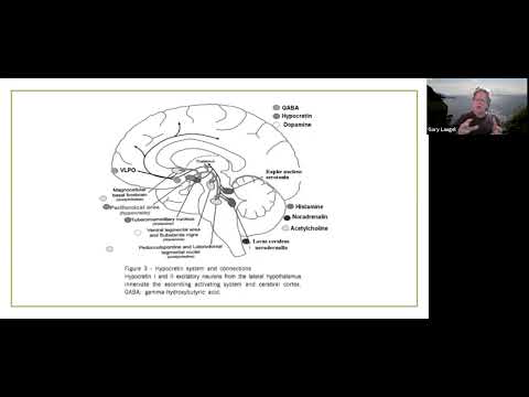 Flip flop switch model of sleep - YouTube