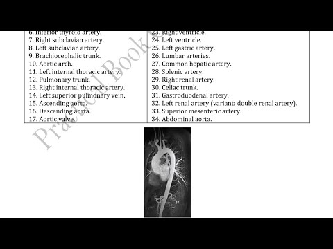 Insight of Practical Book of MRI Protocols | MRI Anatomy ...