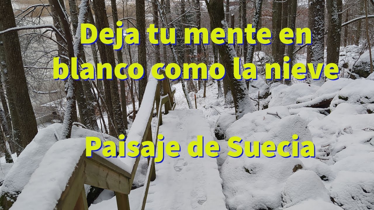 Relax total con un paisaje nevado en Suecia #relax #nieve #meditacion ...