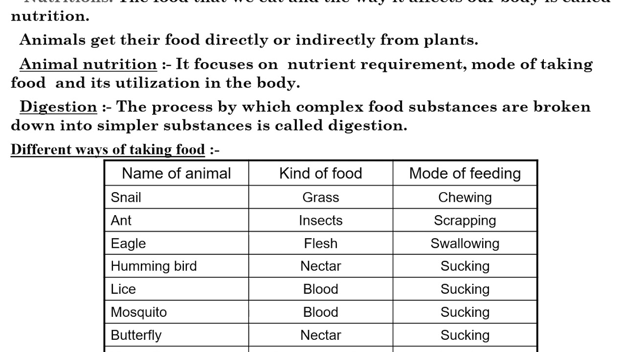 NCERT SCIENCE CHAPTER 2 NUTRITION IN ANIMALS CLASS 7TH - YouTube