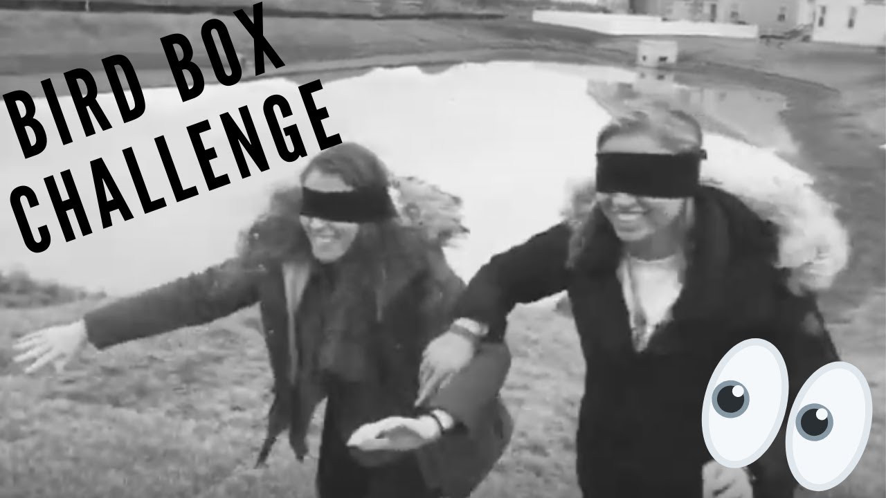 BIRD BOX CHALLENGE : PART 1 - YouTube