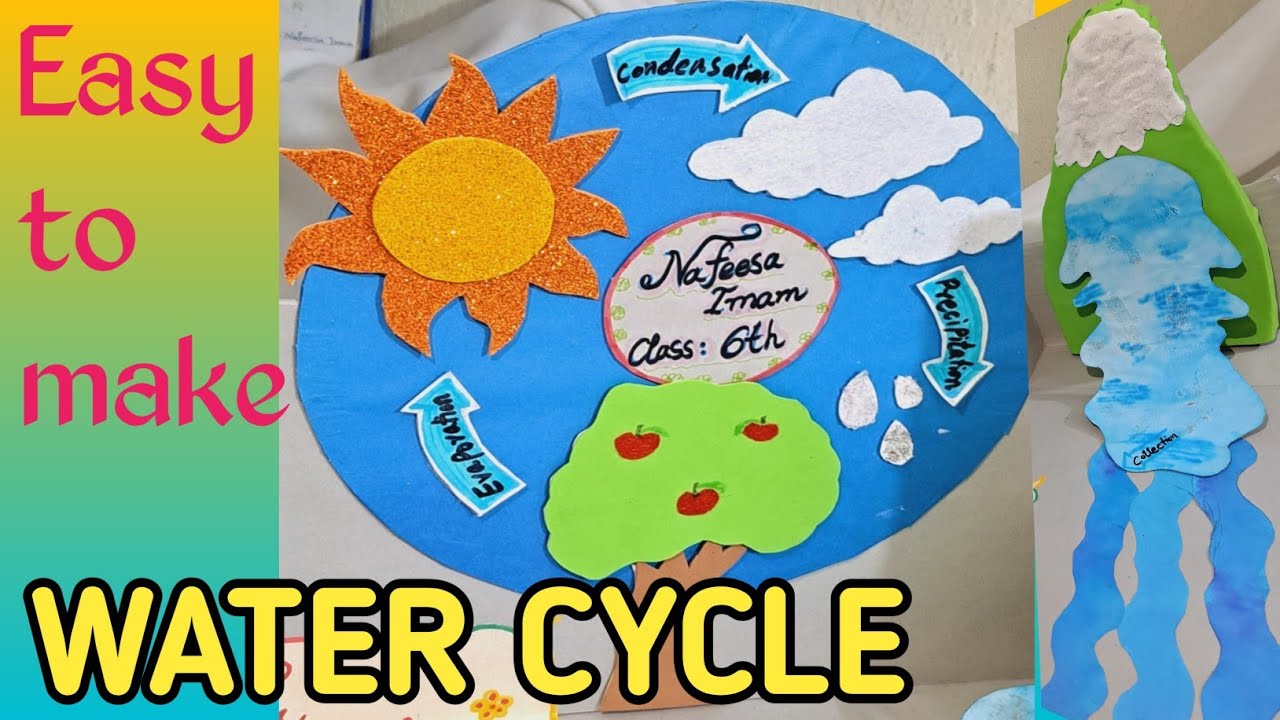 Water Cycle Model/Science project Class 6 water cycle/science Exibition ...