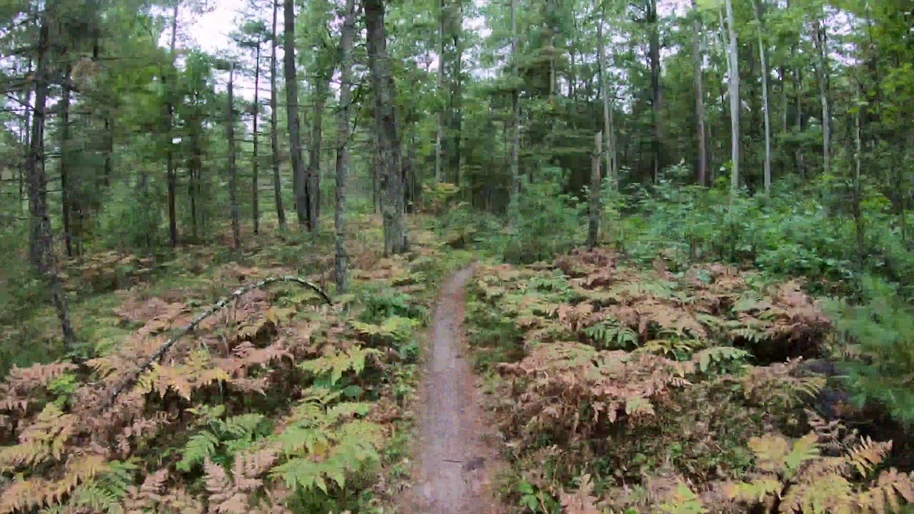 Vasa Single Track Loop - YouTube