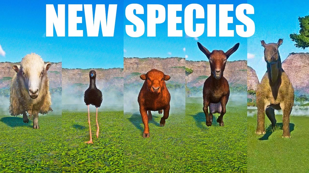 New Species Category Speed Race in Planet Zoo included Elliotdale Sheep ...