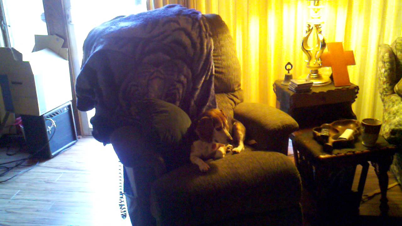 fetch Sammy - YouTube