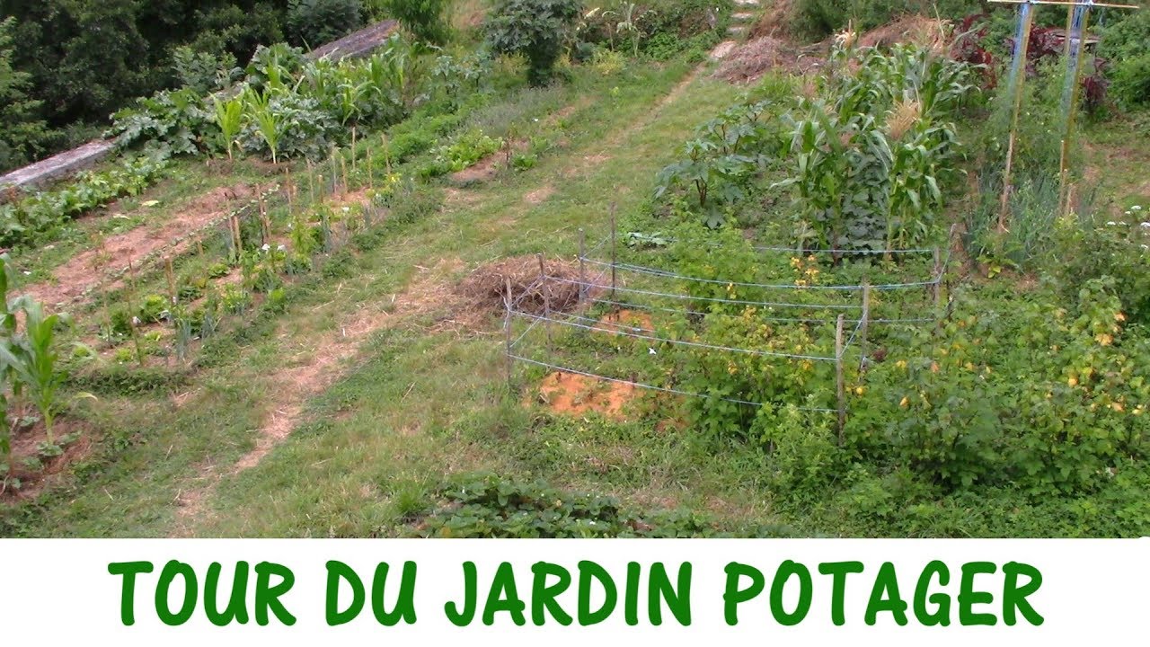 TOUR DU POTAGER / Été 2019 - YouTube