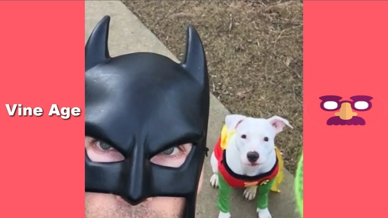 Funny BatDad Vines Compilation (w/Titles) All Vine of BatDad - Vine Age ...