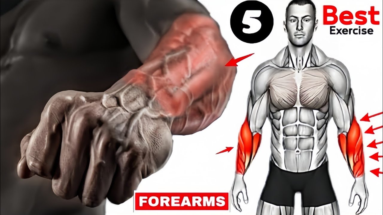 How to Build Veiny Forearms - YouTube