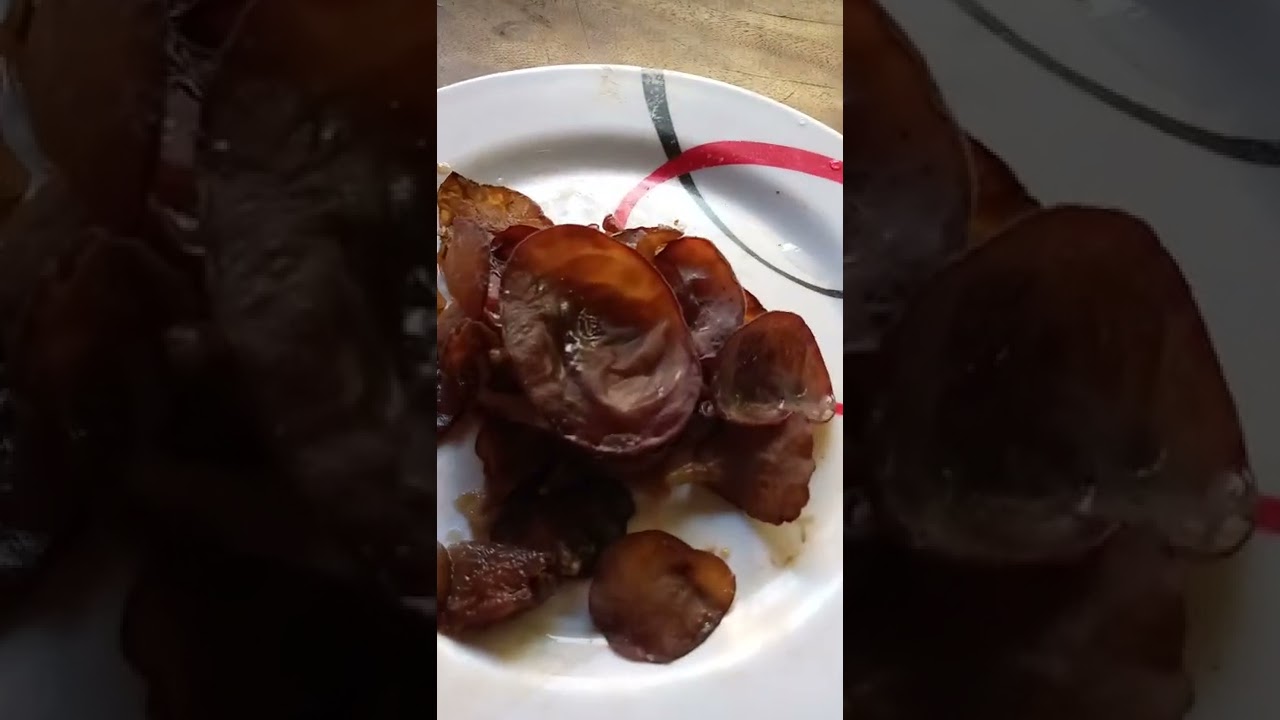 Tainga ng Daga - YouTube