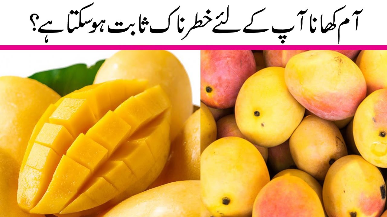Five major disadvantages of eating mango Urdu / Hindi آم کھانے کے پانچ ...