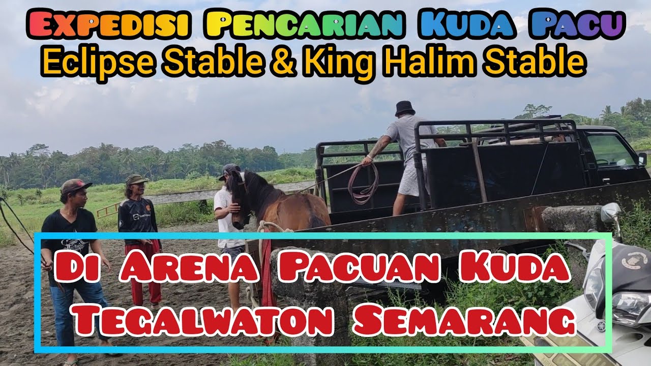 Exspedisi Pencarian Kuda Pacu Eclipse Stable & King Halim Stable di ...