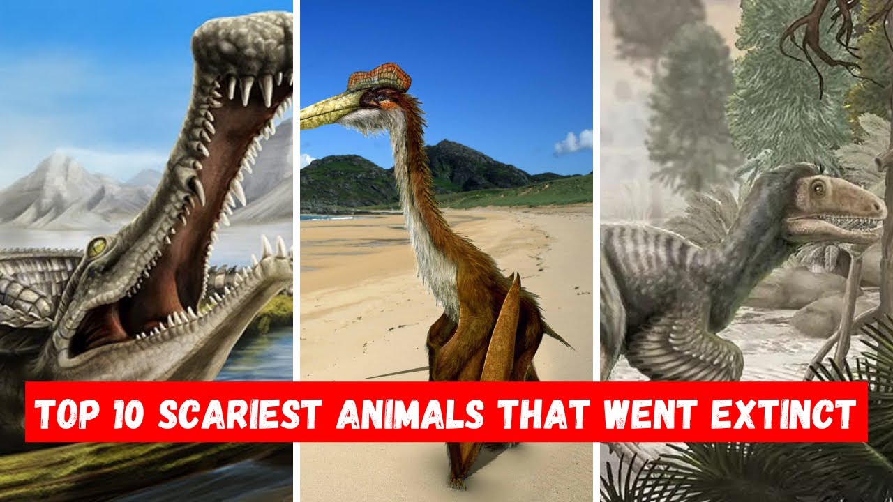 Top 10 Scariest Animals That Are Extinct at Hazel Katherine blog