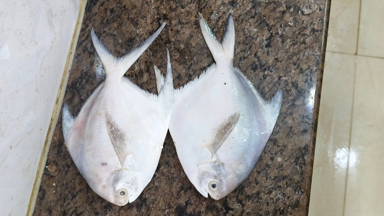 Pamphlet Fish Cutting skills 🔥😳| #fishcutting_skills #pamflet #fish # ...