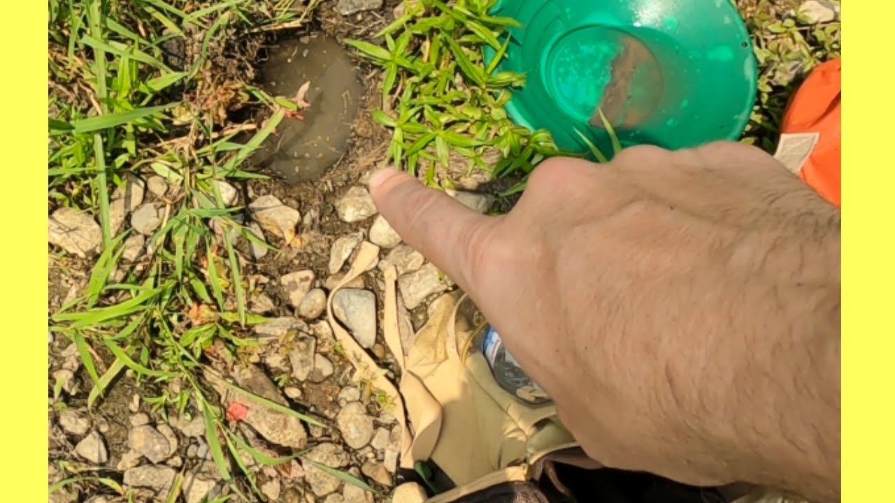 Dud Locations, Root Balls, and Gold - YouTube