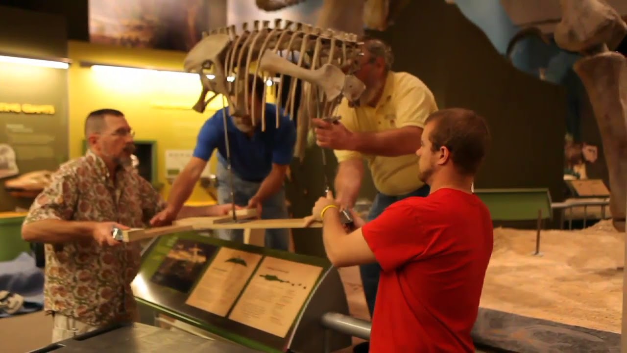 Exhibit to be unveiled at Sam Noble Museum (2011-10-12) - YouTube