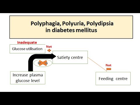 Why Polydipsia Occurs In Diabetes Mellitus