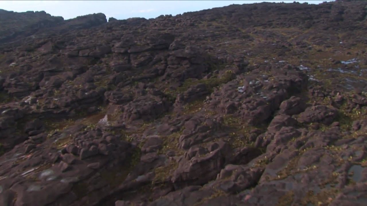 UP- the Real Lost World - YouTube