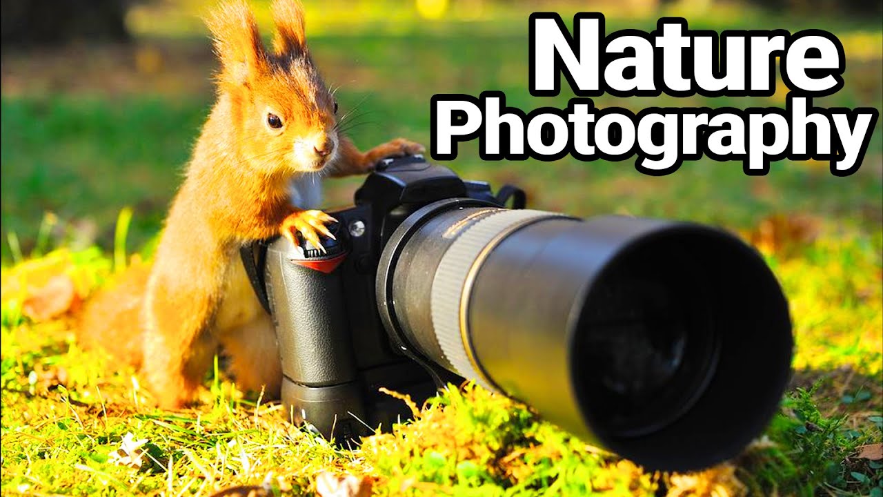 How To Practice Nature Photography - YouTube
