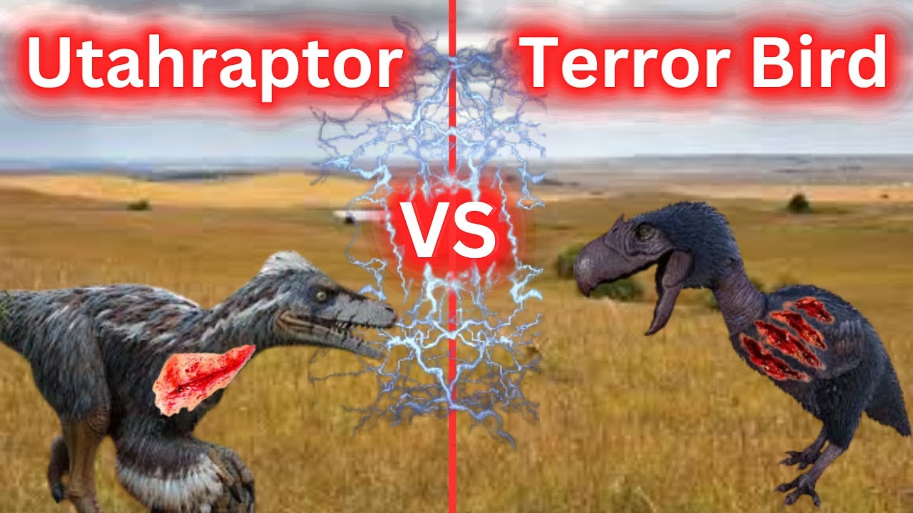 Terror Bird vs Utah Raptor - YouTube