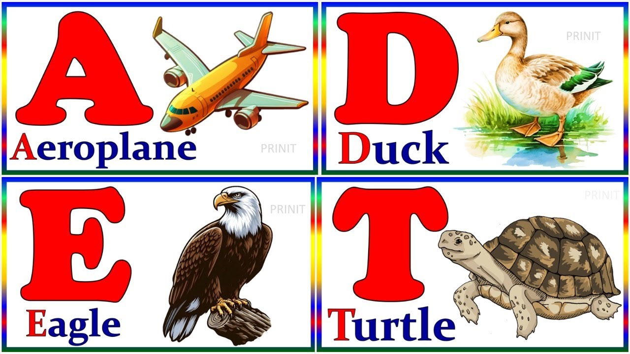 English alphabets A B C D /a to z /A for apple b for ball/a b c d for ...