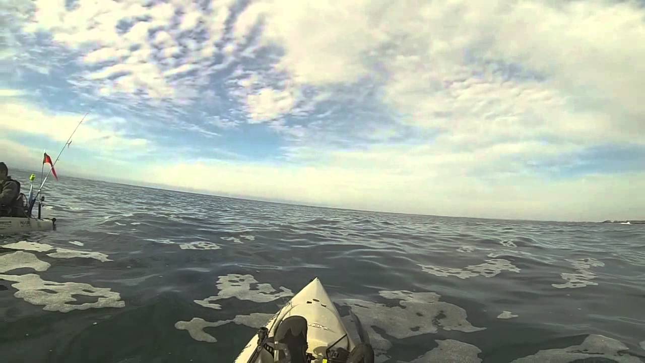 Kayak fishing lingcod oregon lancer jigs angler west hobie - YouTube