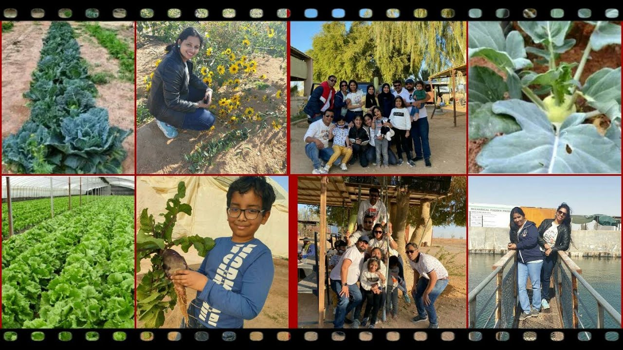 Farm visit | Farms in Riyadh | Places to visit in Saudi Arabia - YouTube