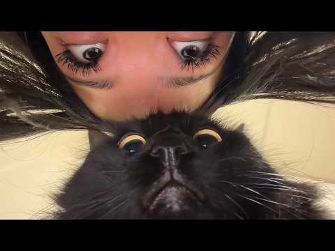 UNUSUAL MEMES COMPILATION V389