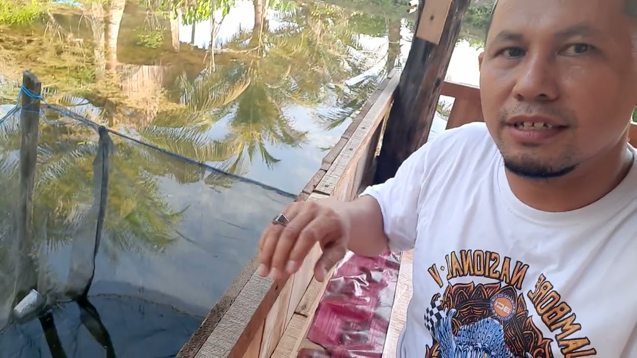 Kelapa setinggi berdiri manusia ||Kota Duri Riau - YouTube