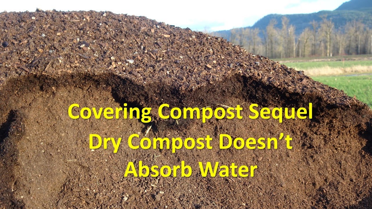 Dry Compost Doesn't Absorb Water - YouTube