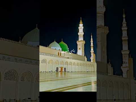 mara ayqa❣️❣️ #shortsfeed #shorts