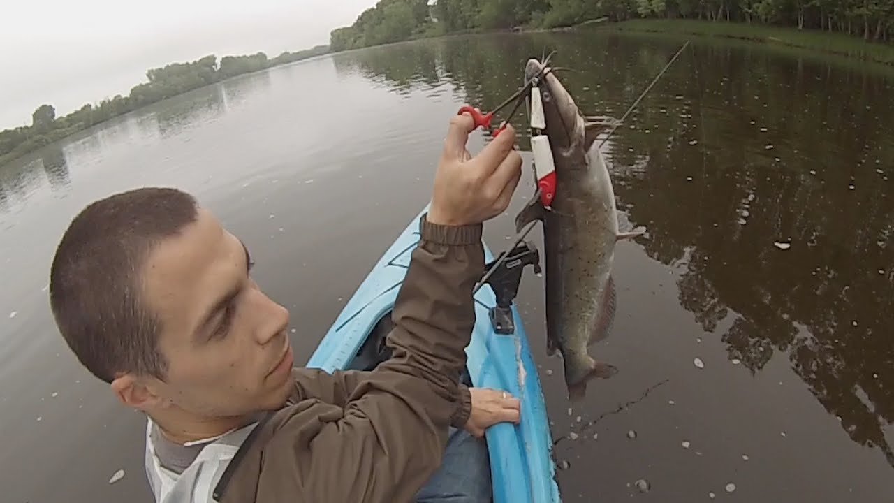 My First Catfish in the Kayak | + Big Fish Jump! - YouTube