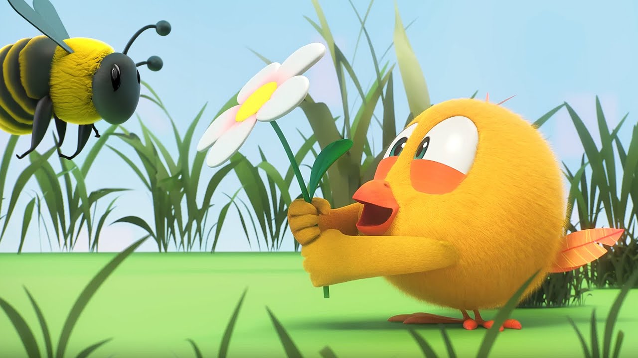 Where's Chicky? Funny Chicky 2023 | THE BEES | Cartoon in English for ...