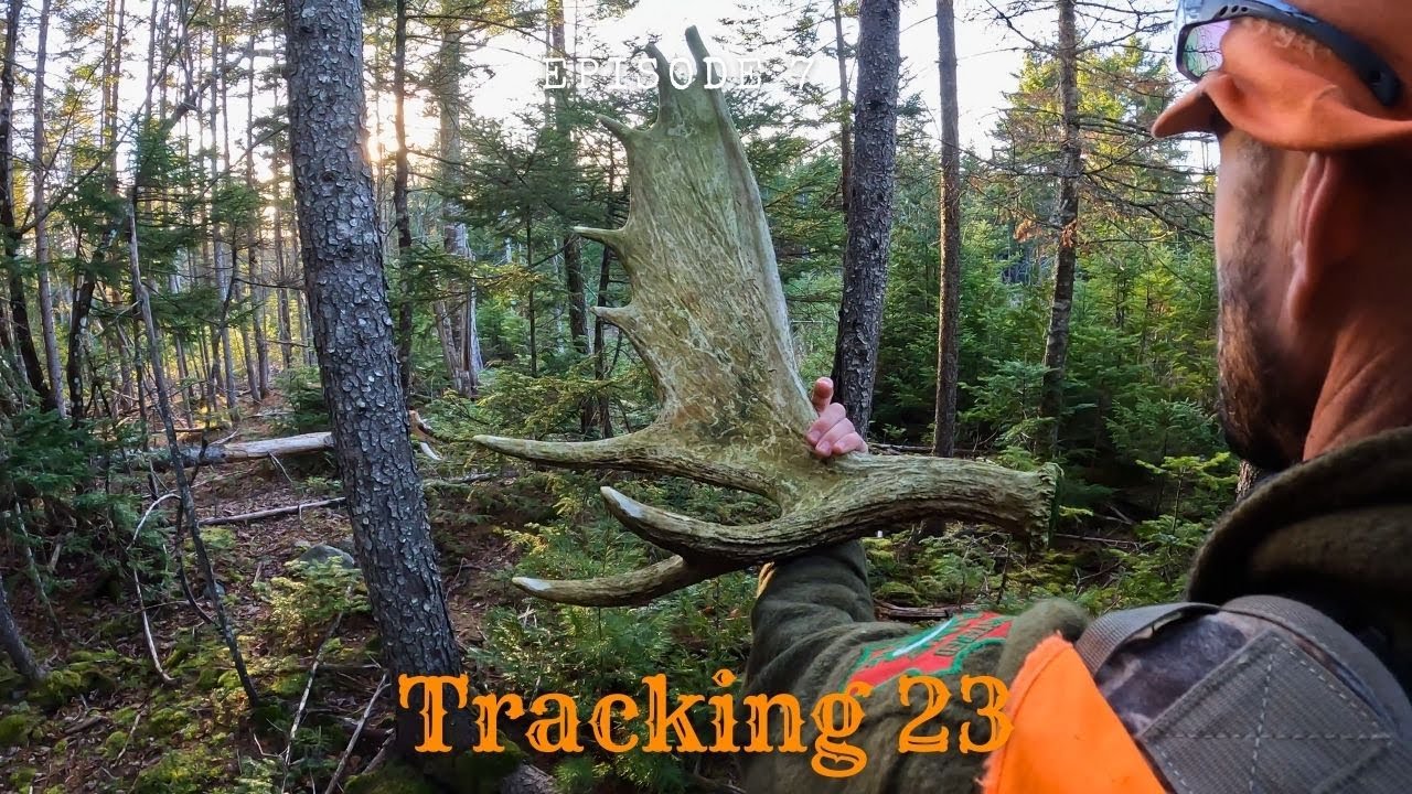 Hunting the Big Woods the Benoit Way - YouTube