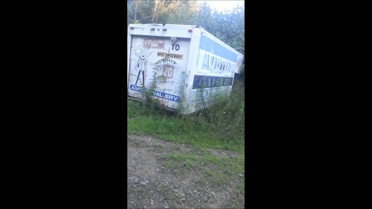 Hitting a bee hive is not too smart! (8/4/13) - YouTube