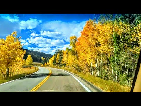 Highway 165 North | Fall Colors in Colorado - YouTube