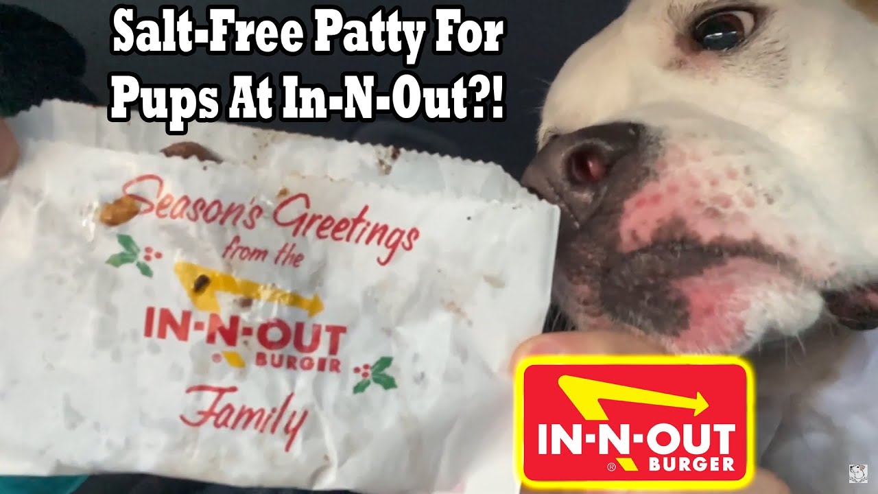 Pup Patty at In-N-Out Burger 🍔 - YouTube