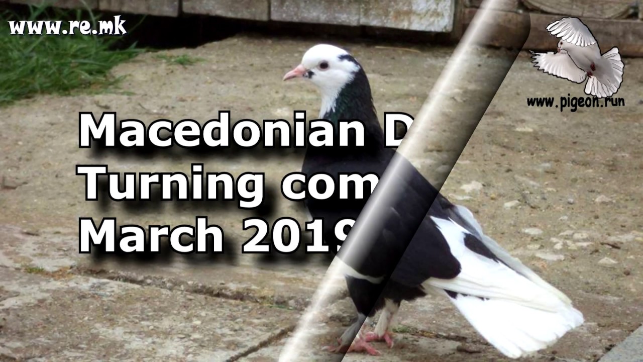 Macedonian Dunek Turning compilation, March 2019 - YouTube