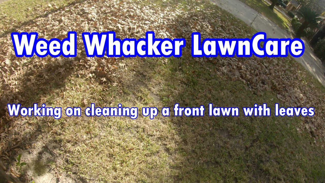 Working on cleaning up a front lawn with leaves - YouTube