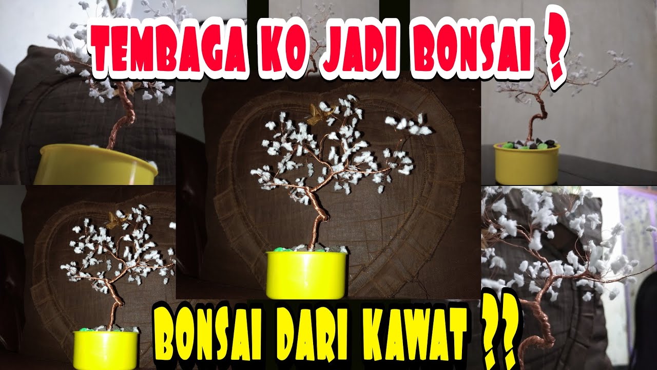 cara membuat bonsai || barang bekas || bonsai kawat || bonsai tembaga ...