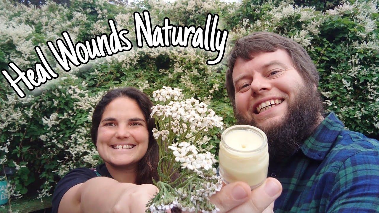 Yarrow Balm - Wound Healing & Anti Inflammatory 🌸 Easy To Follow Recipe ...