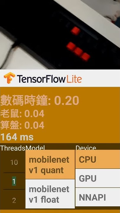 tensorflow lite demo (Chinese) - YouTube