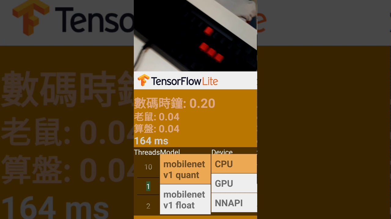tensorflow lite demo (Chinese) - YouTube