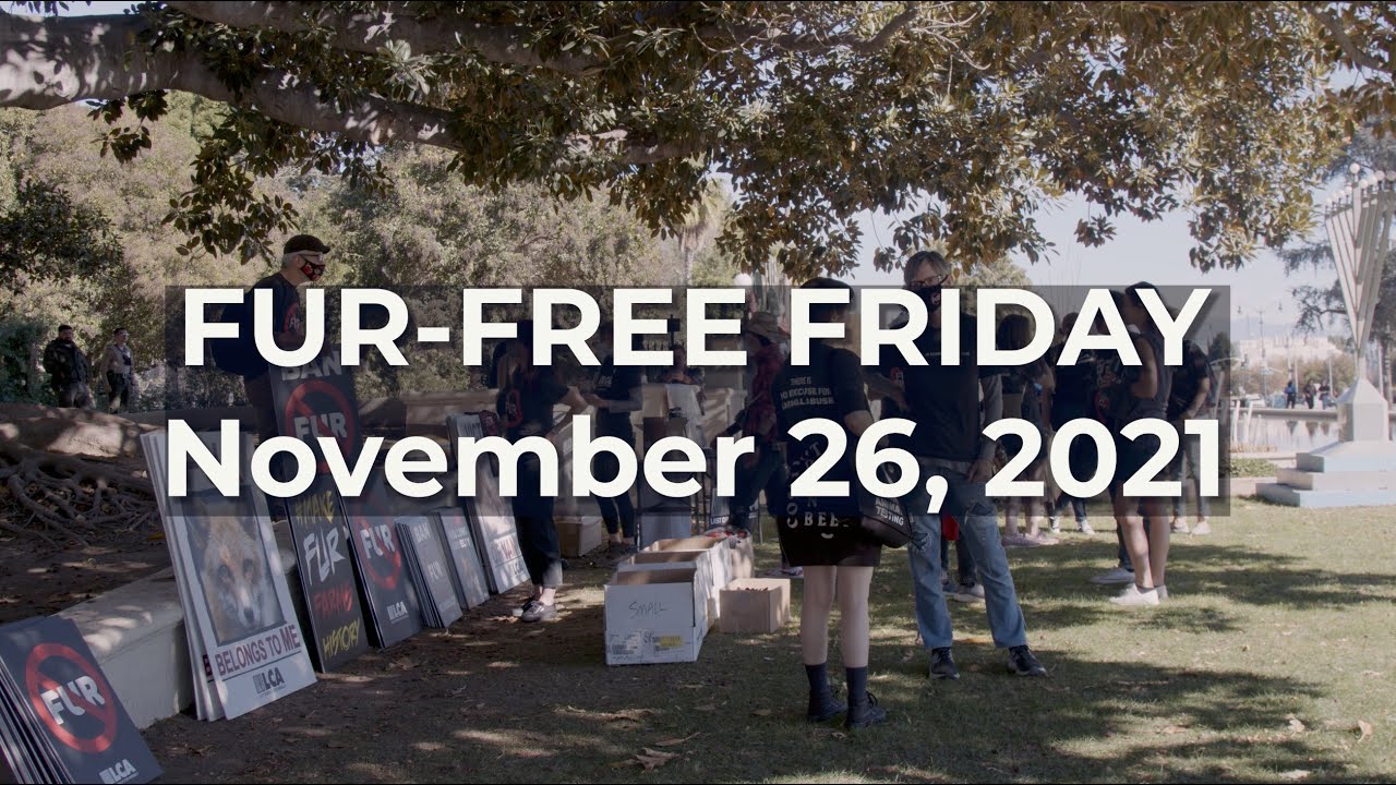 2021 Fur Free Friday Protest - YouTube