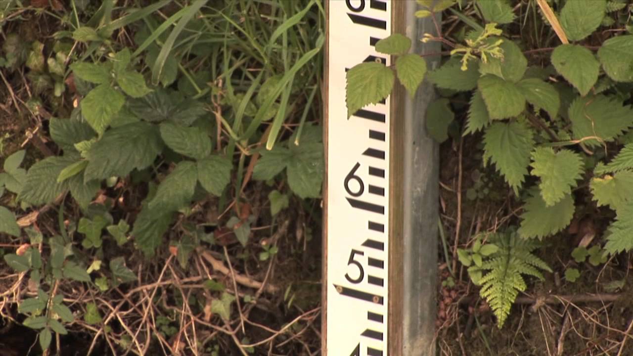 Agricultural Catchments Programme: Corduff, County Monaghan - YouTube