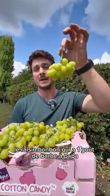 🍇 Le retour du RAISIN COTTON CANDY : un goût de barbe à papa 100% ...