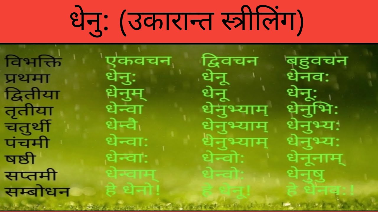 शब्द रूप- धेनु: , Dhenu ka roop in Sanskrit, संस्कृत शब्द रूप धेनु ...