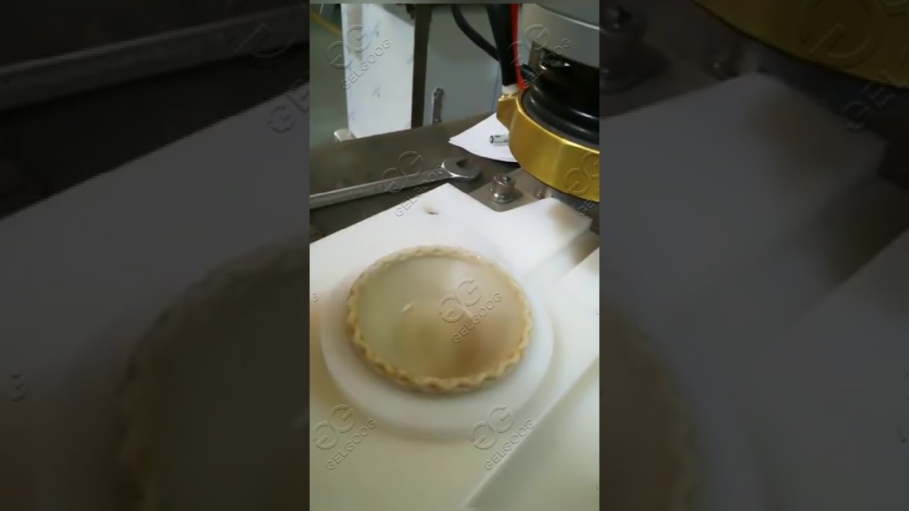 Commercial Egg Tart Forming Machine|Egg Tart Skin Machine Price - YouTube