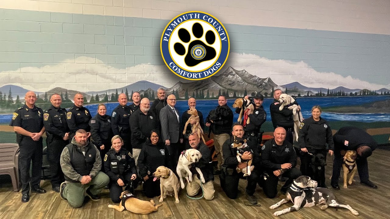 Plymouth County District Attorney Tim Cruz Talks about Comfort Dog ...